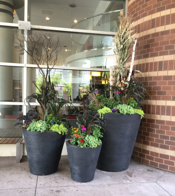 Commercial | Custom Planter Designs for your Business - Simple and Grand